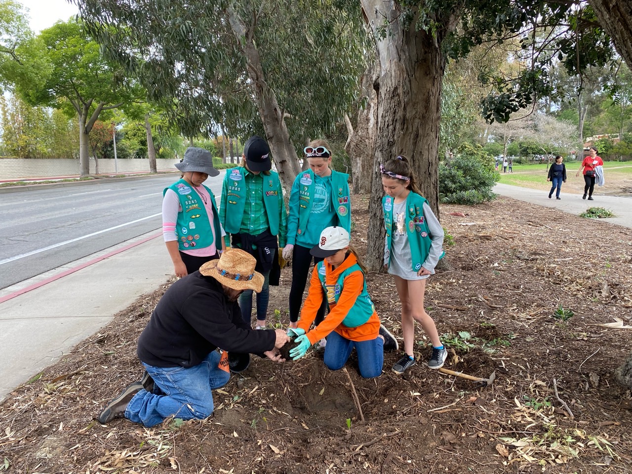 Girl Scout Troop awarded Bronze Award for planting project with the ...